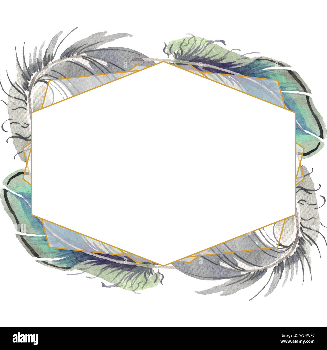 Watercolor bird feather from wing isolated. Aquarelle feather for ...