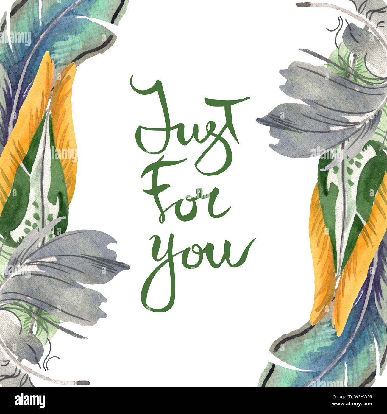 Watercolor bird feather from wing isolated. Aquarelle feather for ...