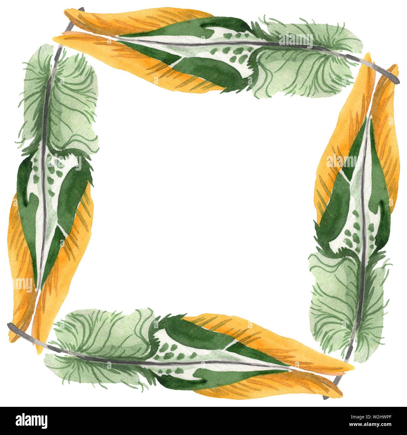 Watercolor bird feather from wing isolated. Aquarelle feather for ...