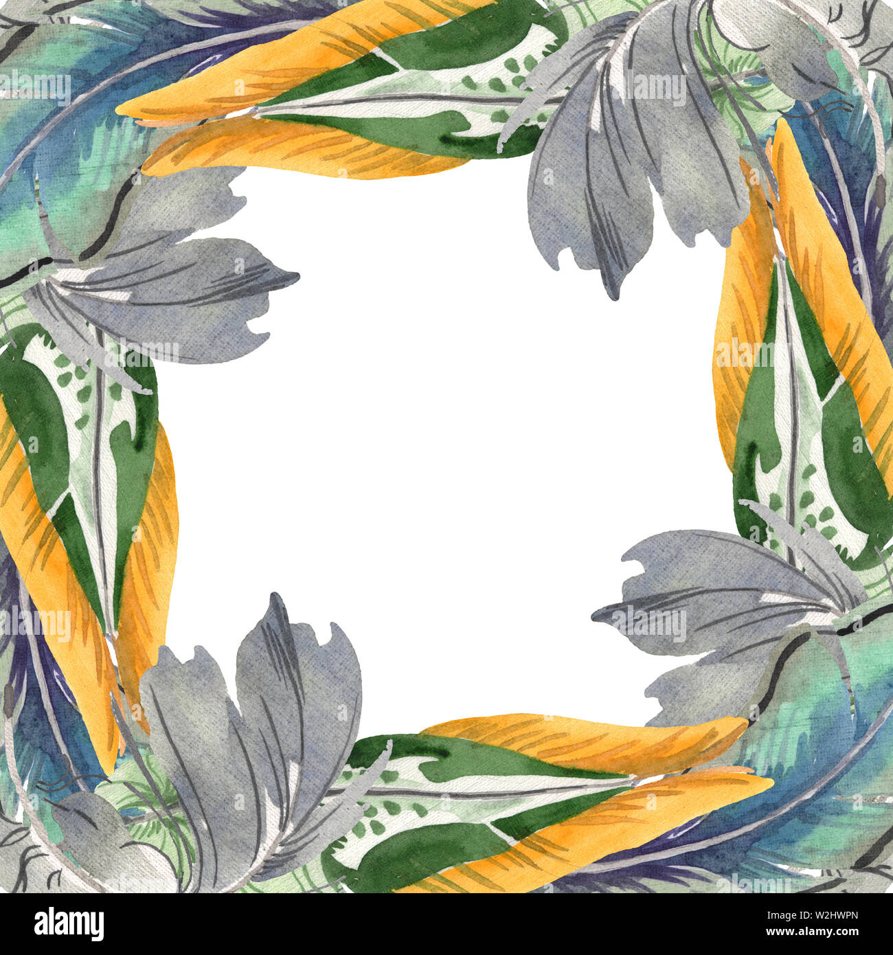 Watercolor bird feather from wing isolated. Aquarelle feather for ...