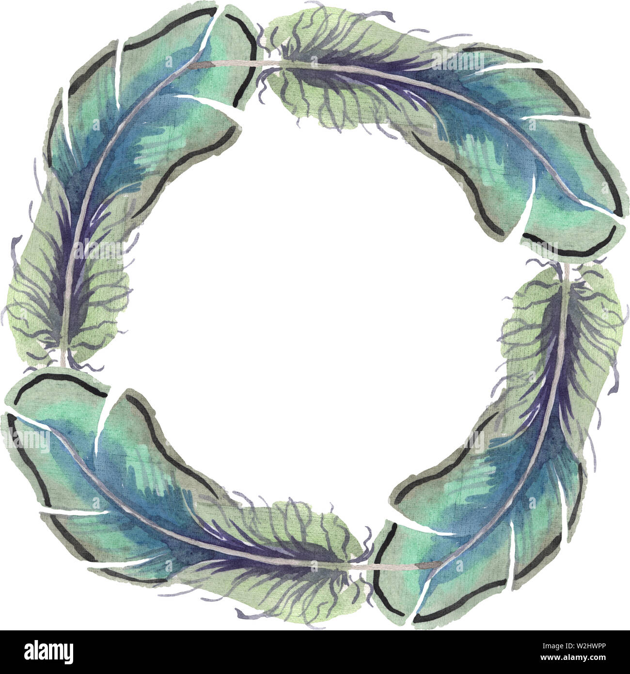 Watercolor bird feather from wing isolated. Aquarelle feather for ...