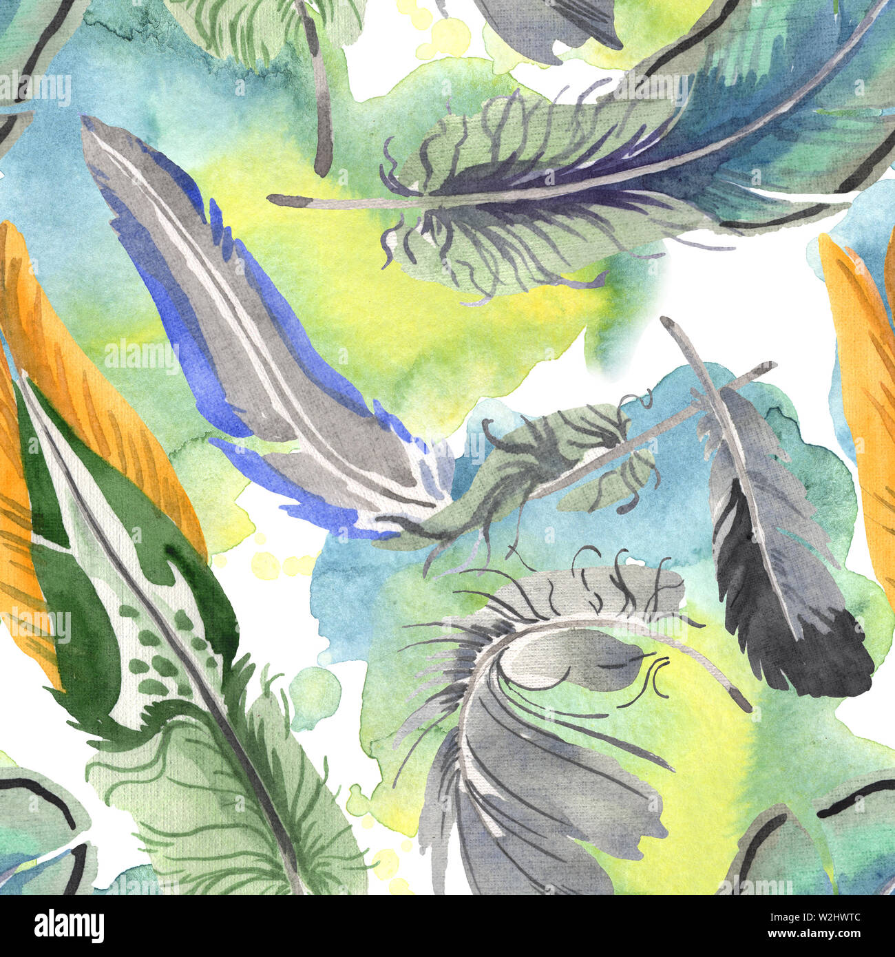 Watercolor bird feather from wing isolated. Aquarelle feather for ...