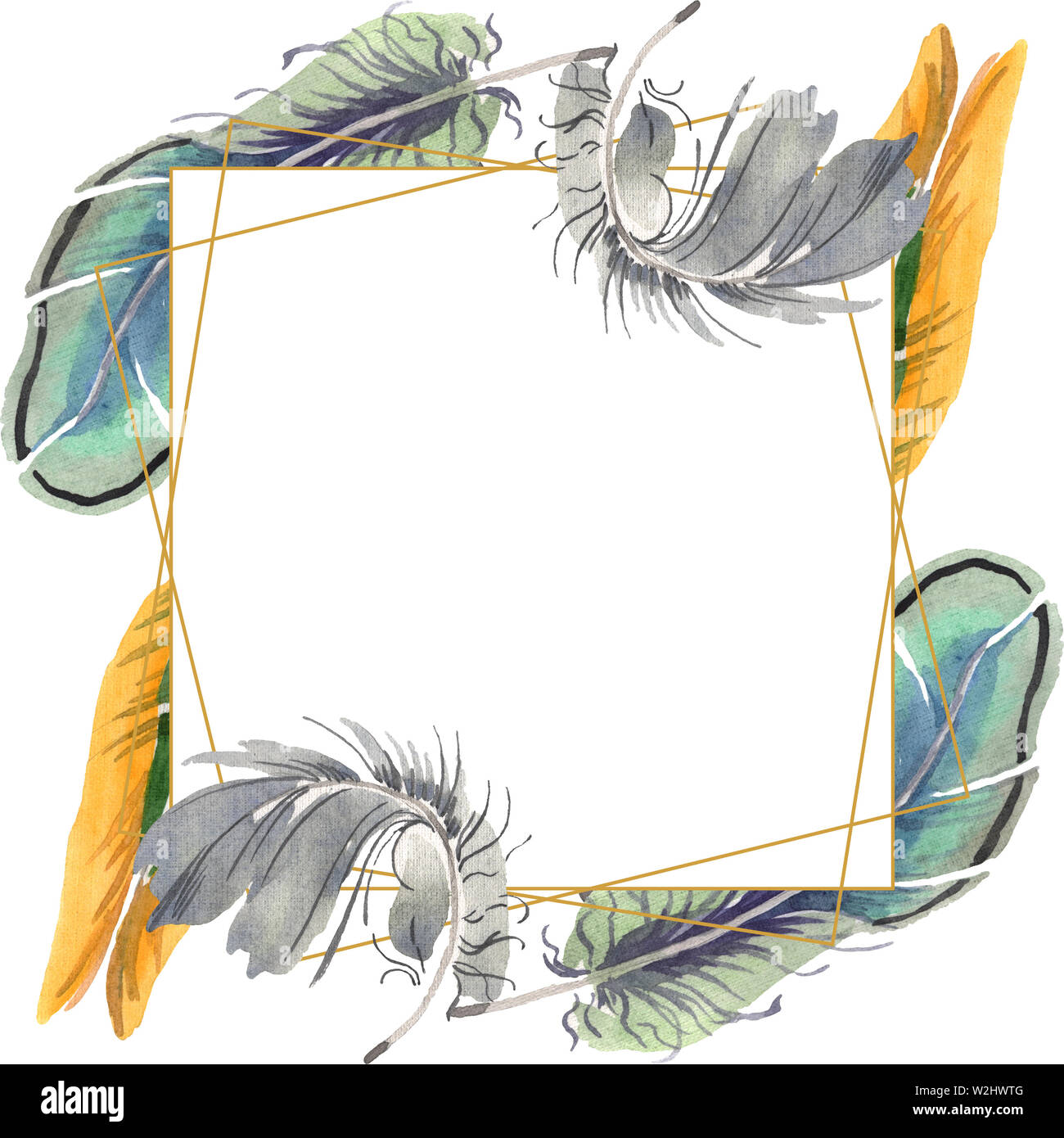 Watercolor bird feather from wing isolated. Aquarelle feather for ...