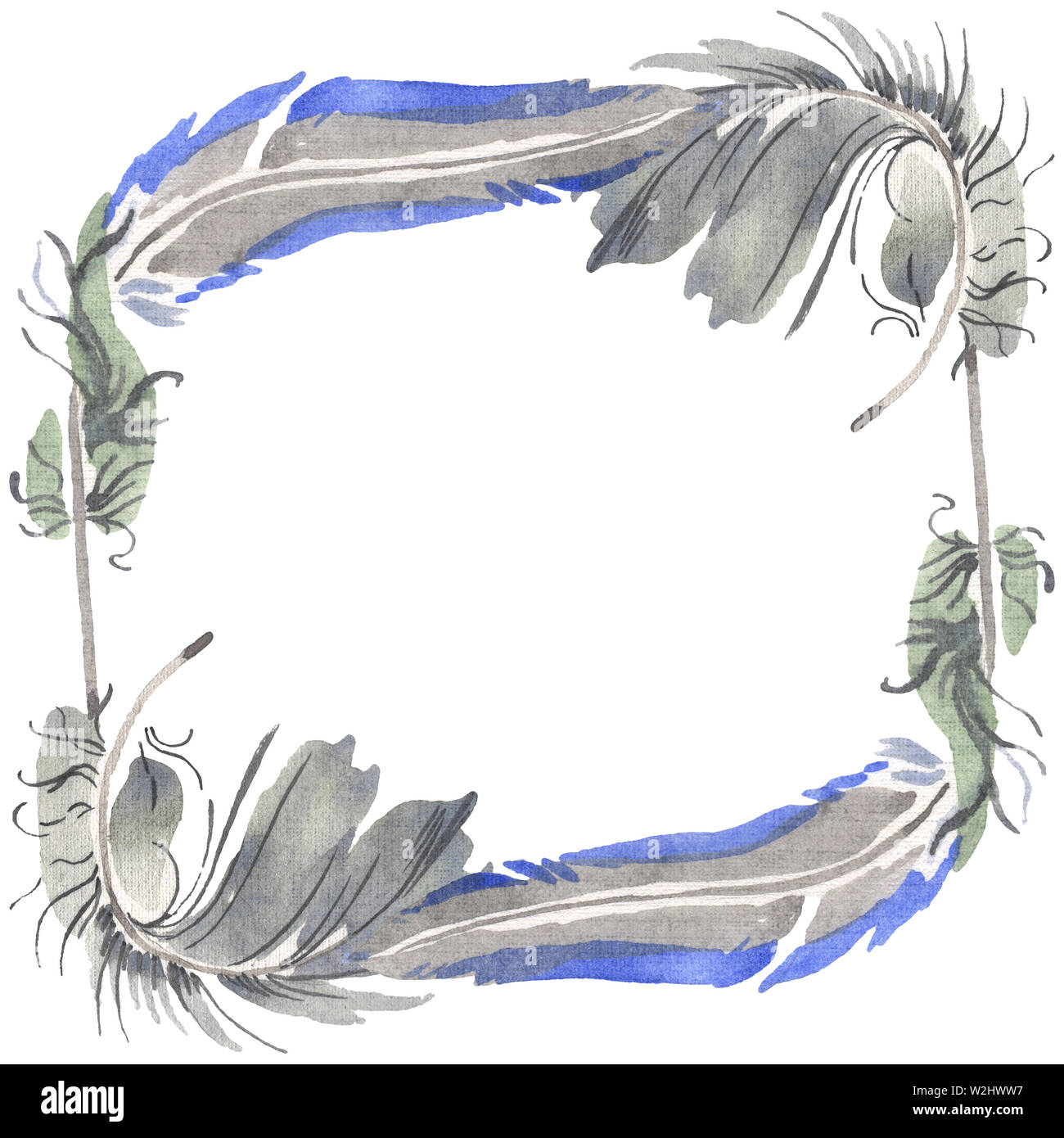 Watercolor bird feather from wing isolated. Aquarelle feather for ...