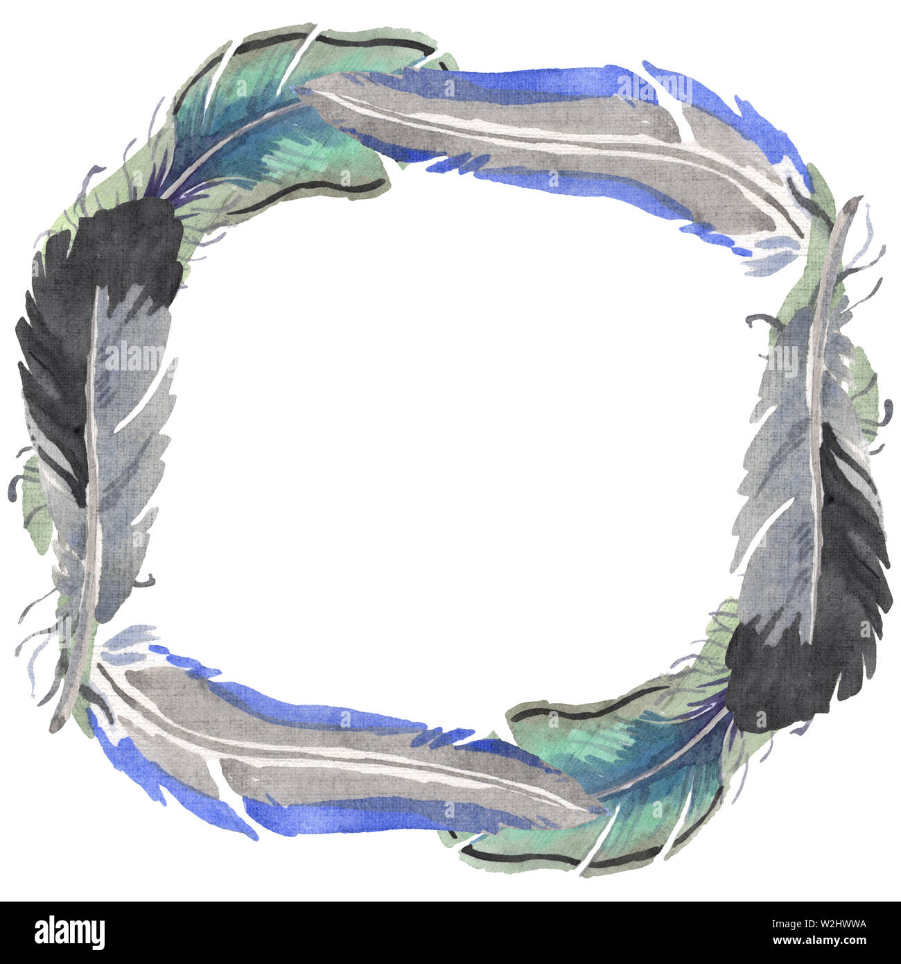 Watercolor bird feather from wing isolated. Aquarelle feather for ...