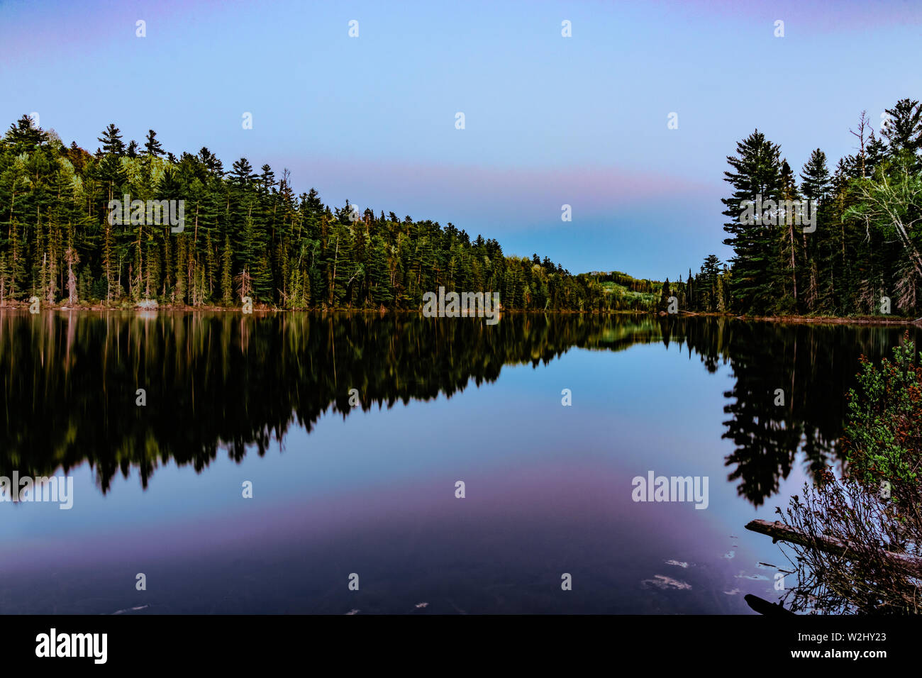 Trees reflecting on the surface of a calm lake Stock Photo - Alamy