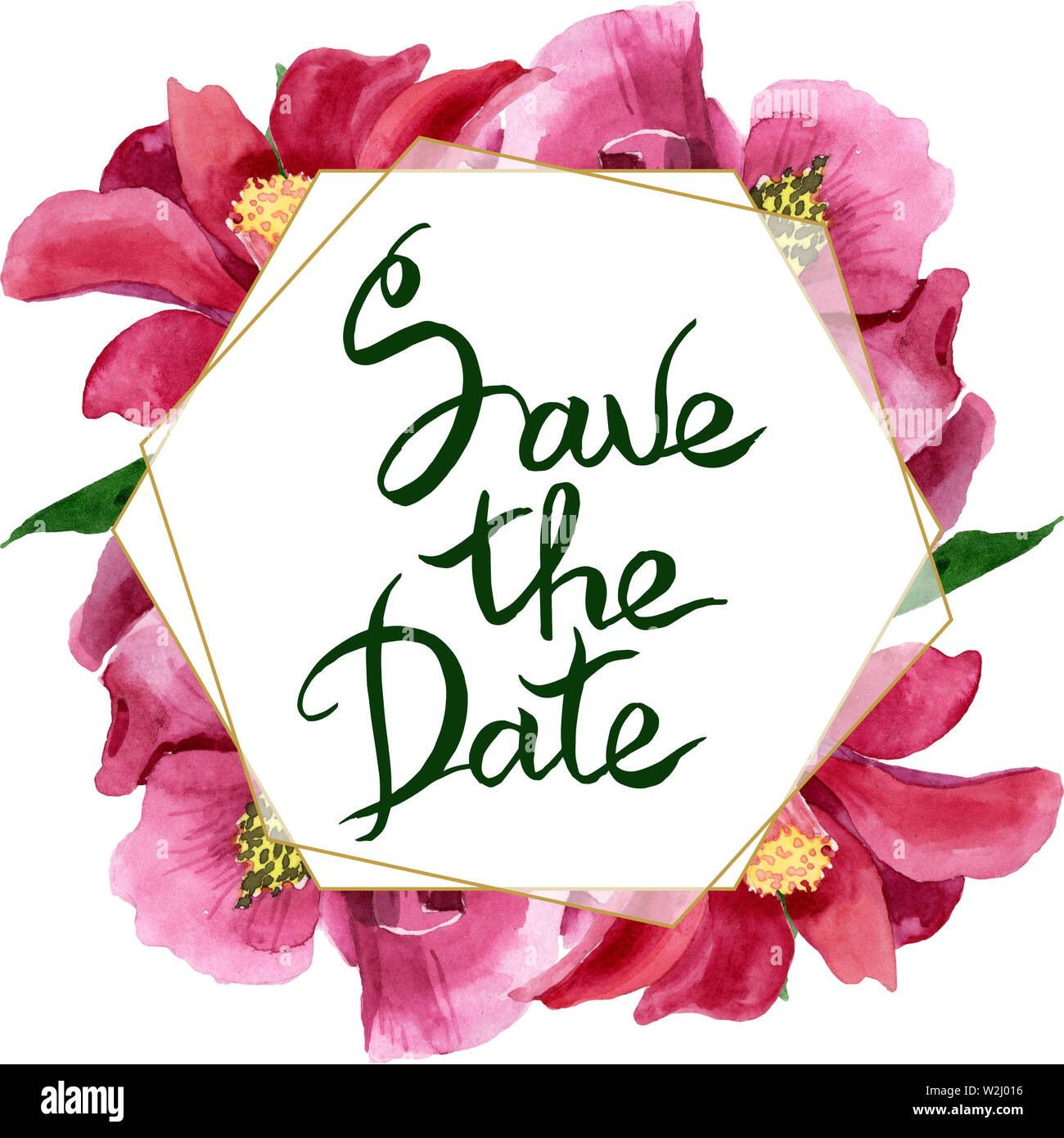 Red camelia floral botanical flower. Wild spring leaf wildflower ...