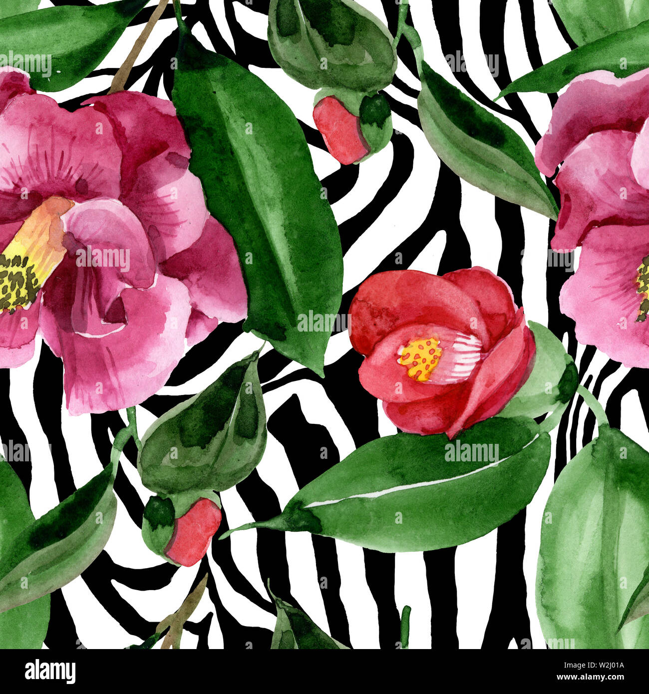 Red camelia floral botanical flower. Wild spring leaf wildflower ...