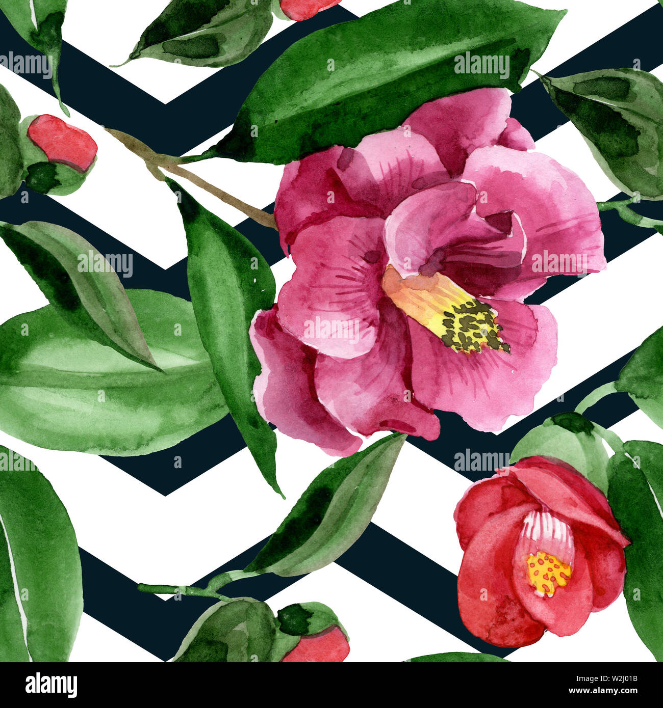Red camelia floral botanical flower. Wild spring leaf wildflower ...