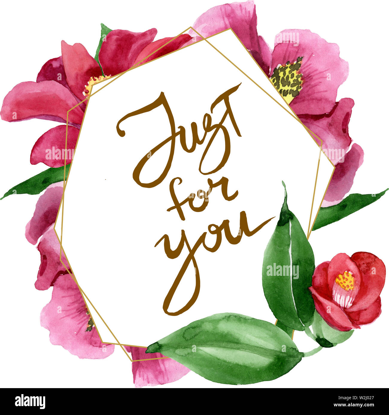 Red camelia floral botanical flower. Wild spring leaf wildflower ...