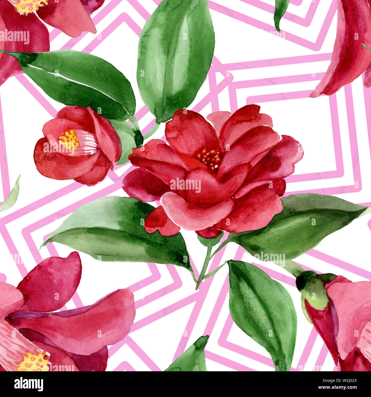 Red camelia floral botanical flower. Wild spring leaf wildflower ...