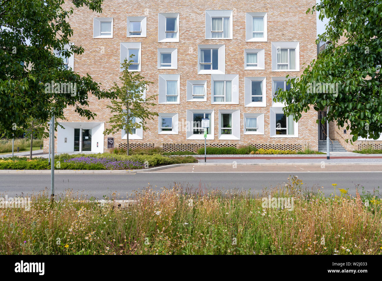 Wildflowers in urban environment hi-res stock photography and images ...