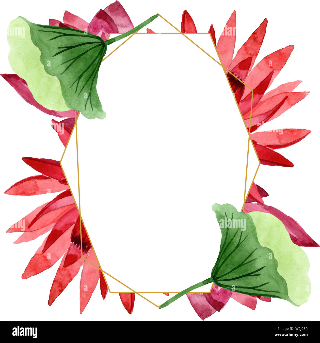 Red lotus floral botanical flower. Wild spring leaf wildflower isolated ...