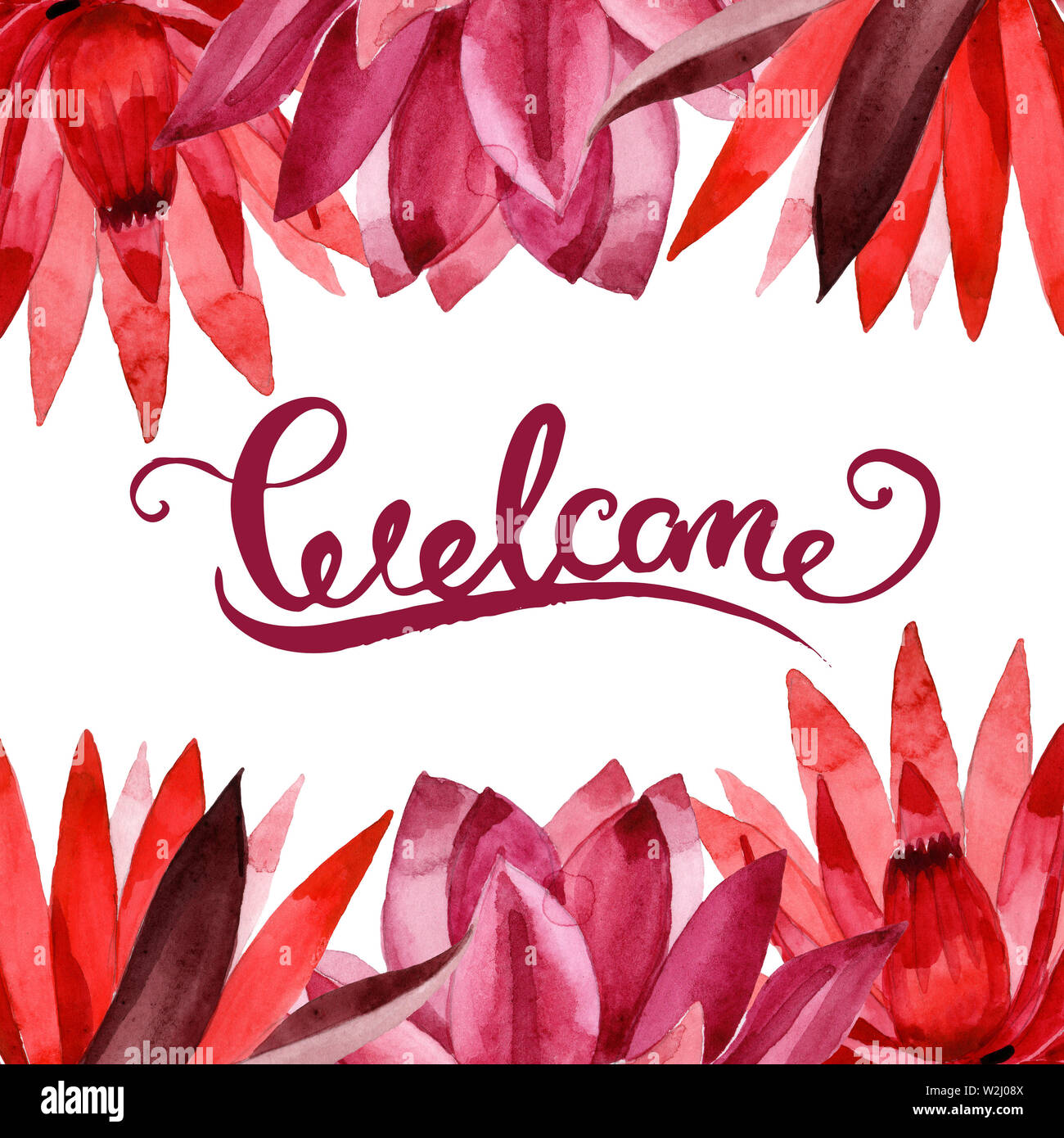 Red lotus floral botanical flower. Wild spring leaf wildflower isolated ...