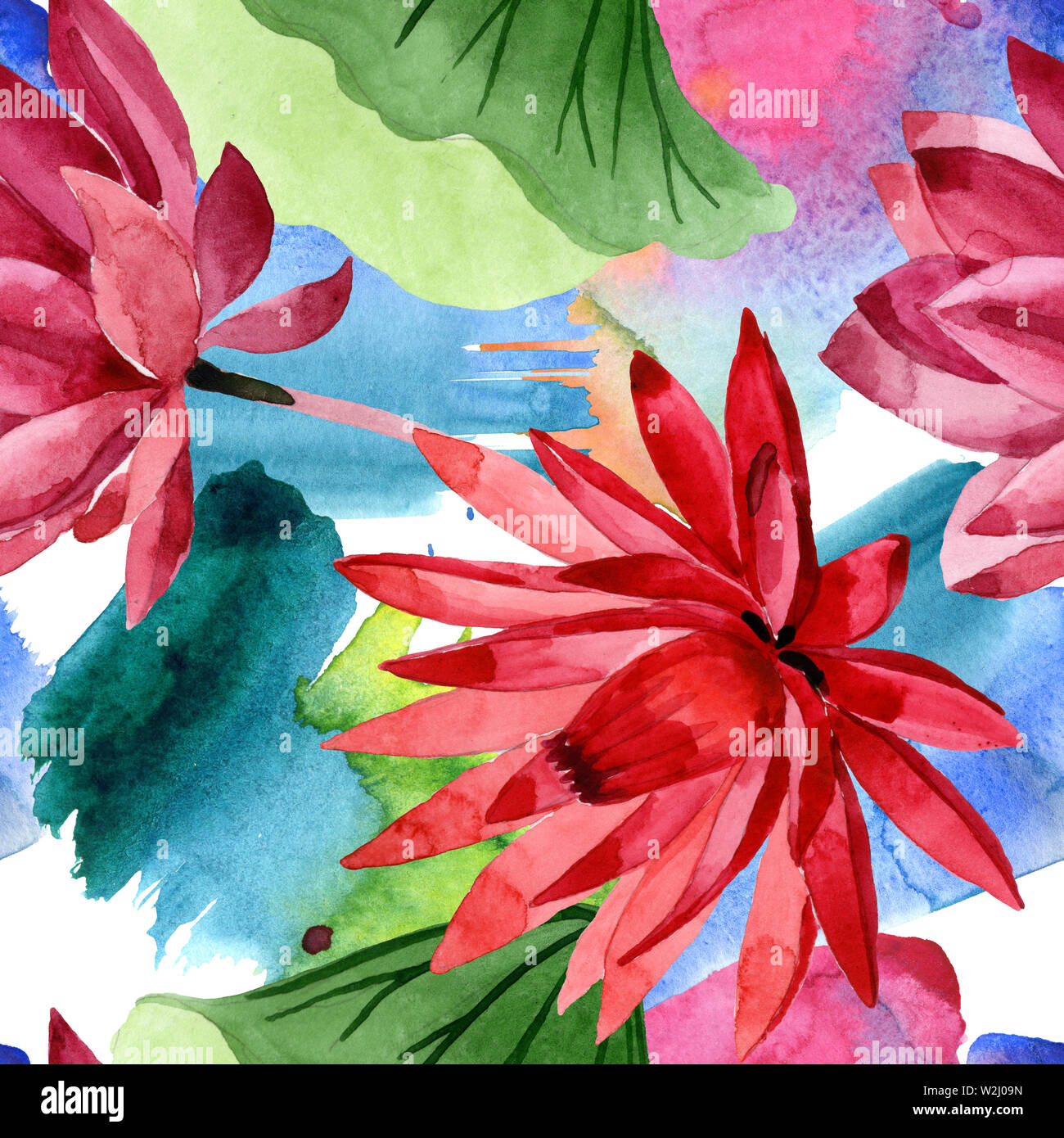 Red lotus floral botanical flower. Wild spring leaf wildflower ...