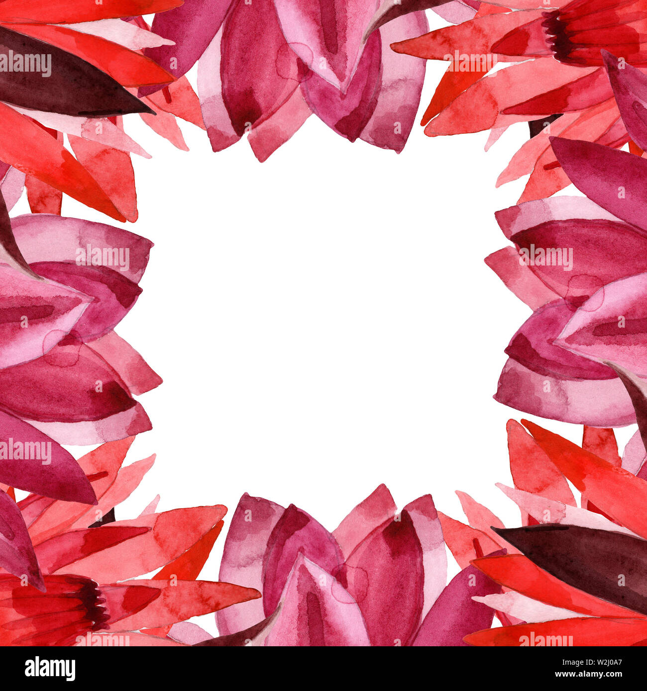 Red lotus floral botanical flower. Wild spring leaf wildflower isolated ...