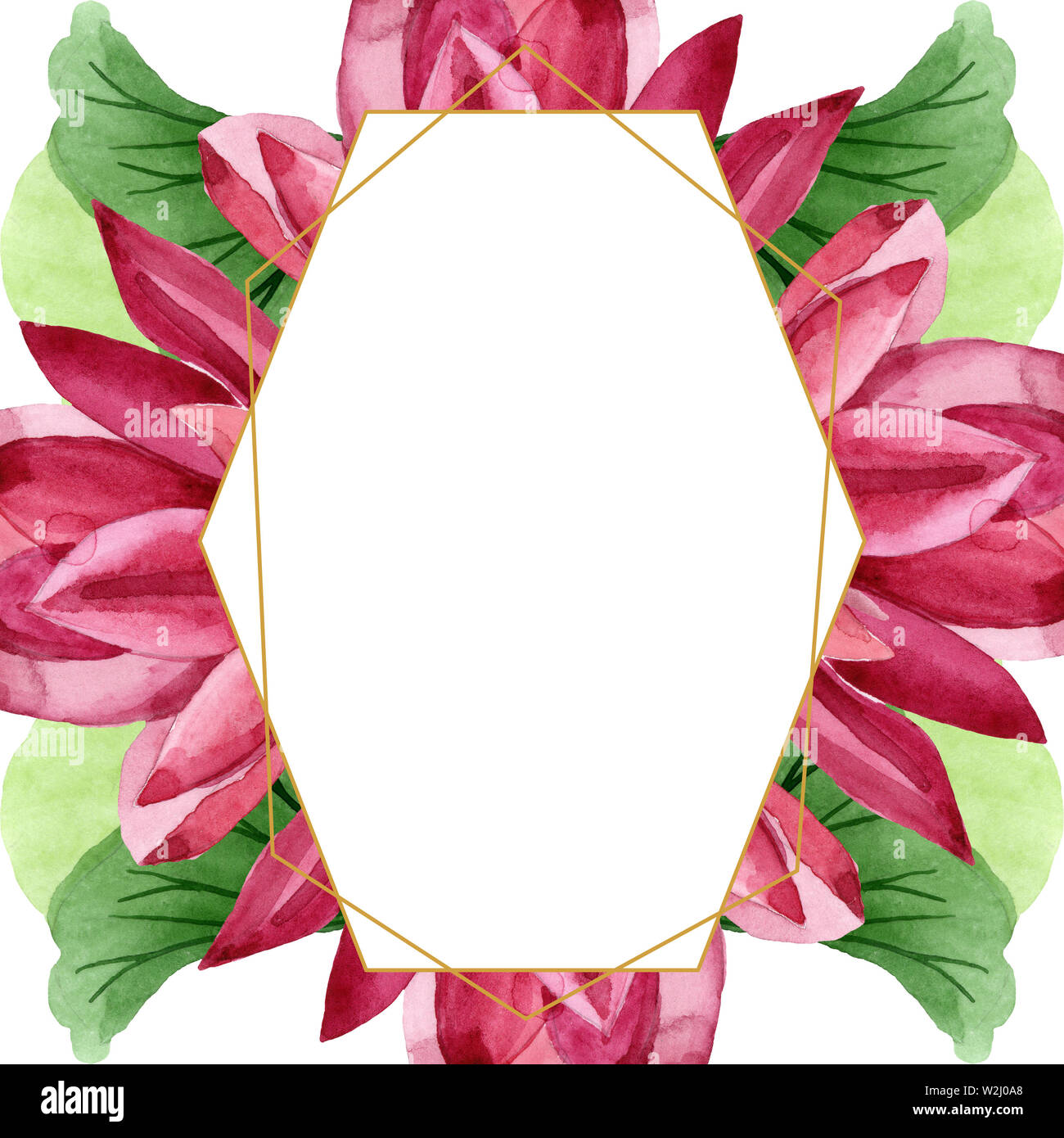 Red lotus floral botanical flower. Wild spring leaf wildflower isolated ...