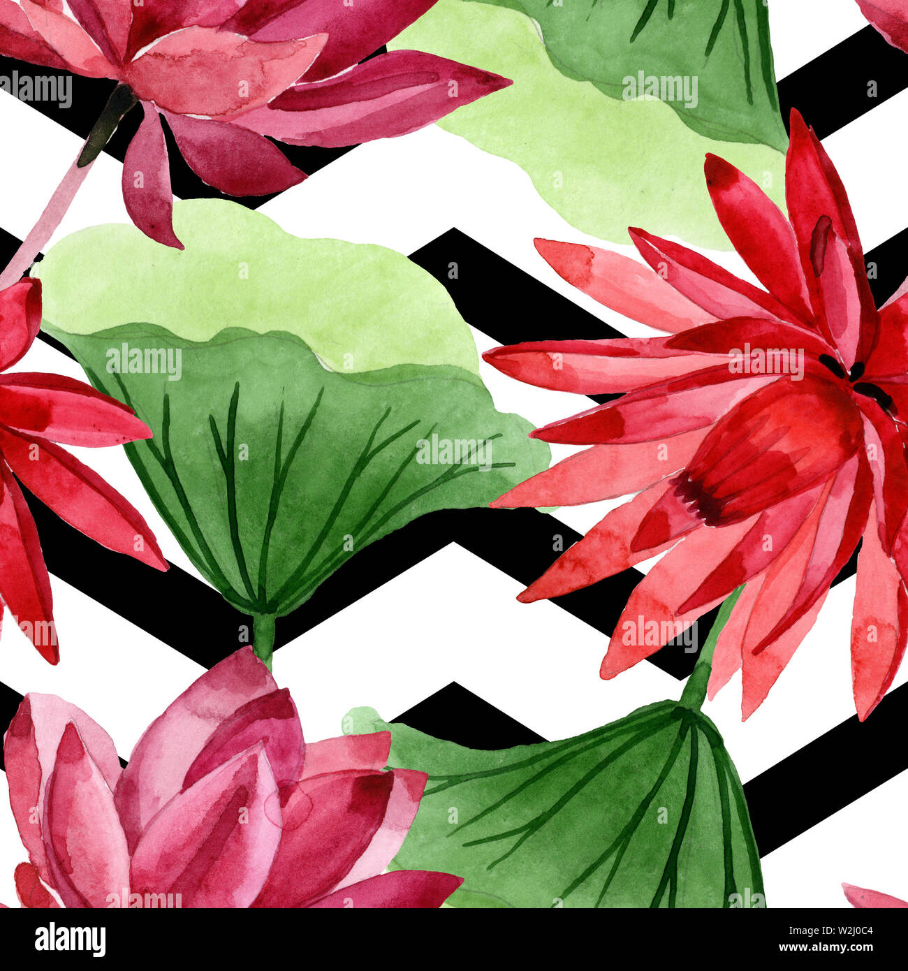 Red lotus floral botanical flower. Wild spring leaf wildflower ...