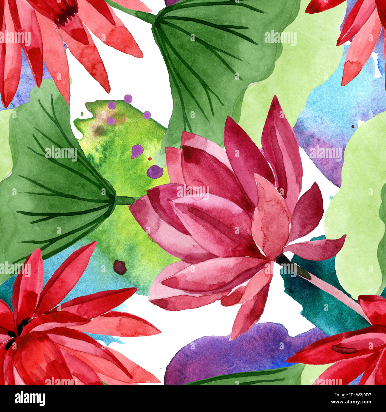 Red lotus floral botanical flower. Wild spring leaf wildflower ...