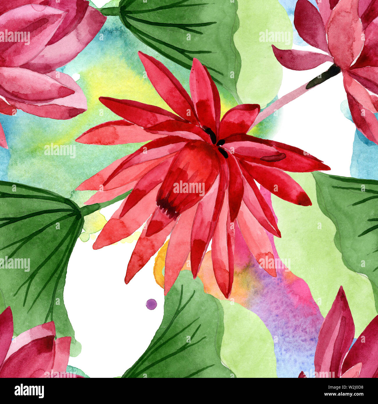 Red lotus floral botanical flower. Wild spring leaf wildflower ...