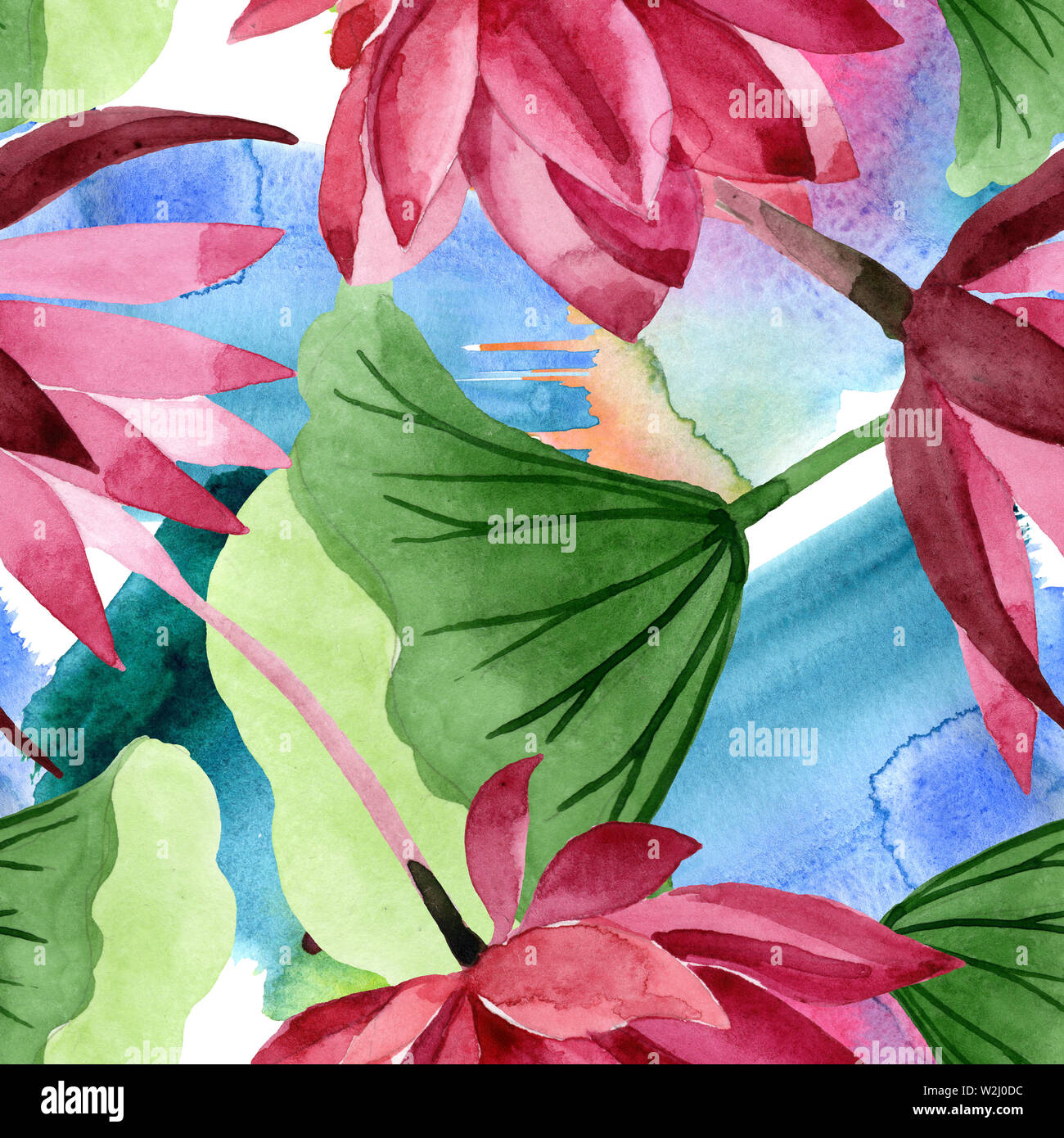 Red lotus floral botanical flower. Wild spring leaf wildflower ...