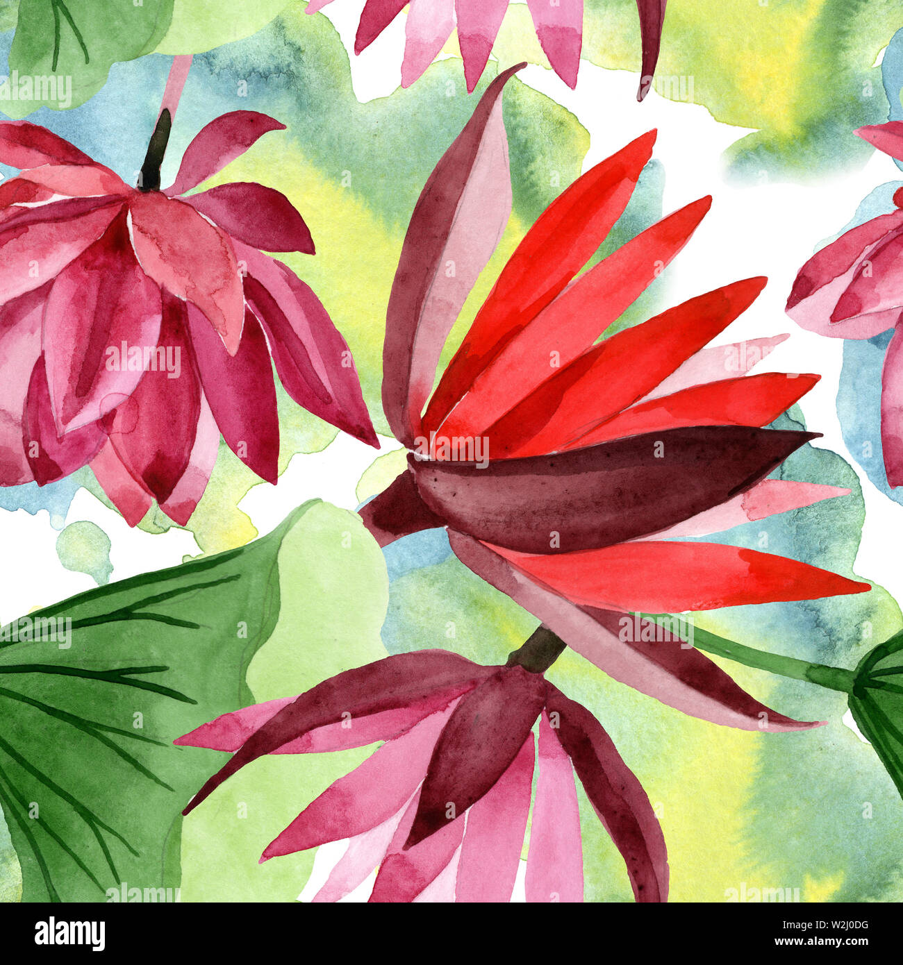 Red lotus floral botanical flower. Wild spring leaf wildflower ...