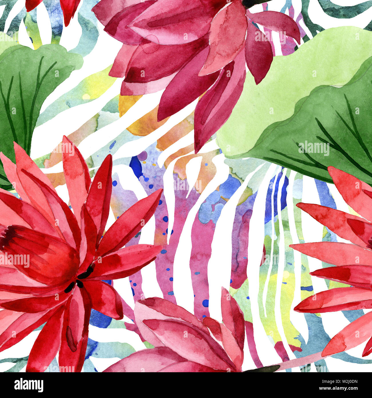 Red lotus floral botanical flower. Wild spring leaf wildflower ...