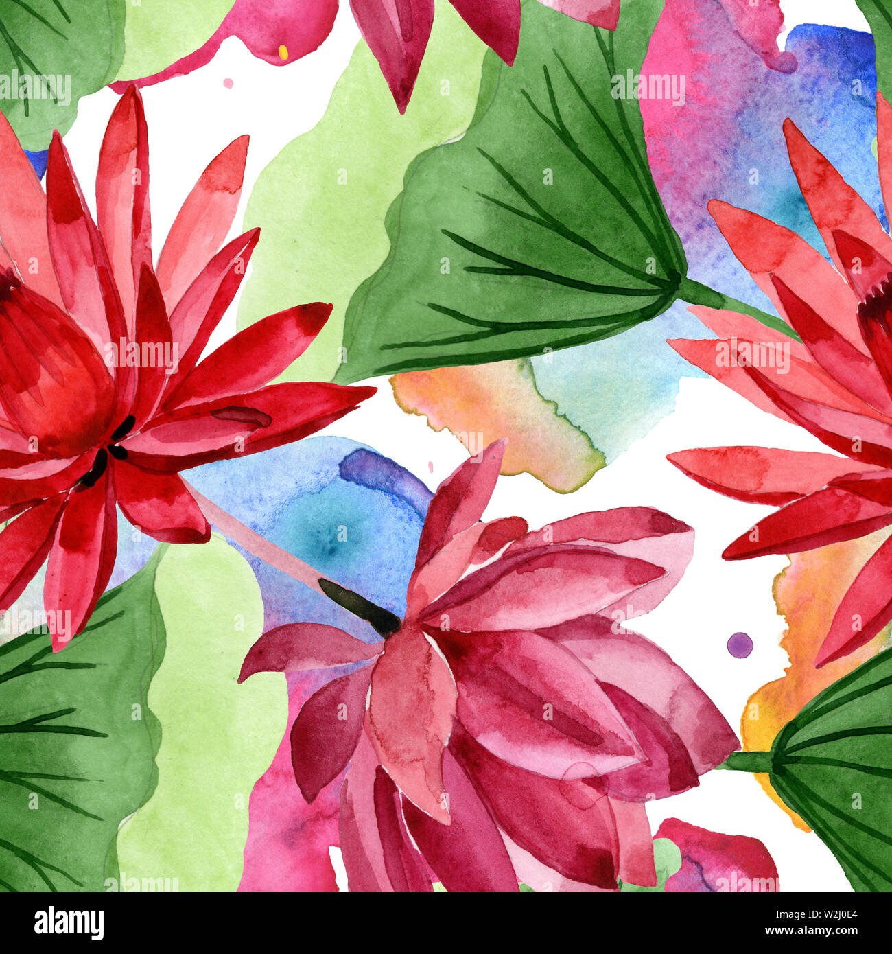 Red lotus floral botanical flower. Wild spring leaf wildflower ...