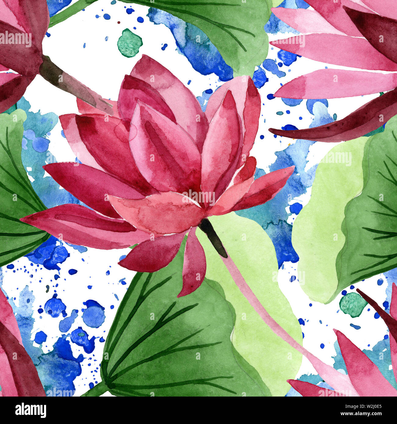 Red lotus floral botanical flower. Wild spring leaf wildflower ...