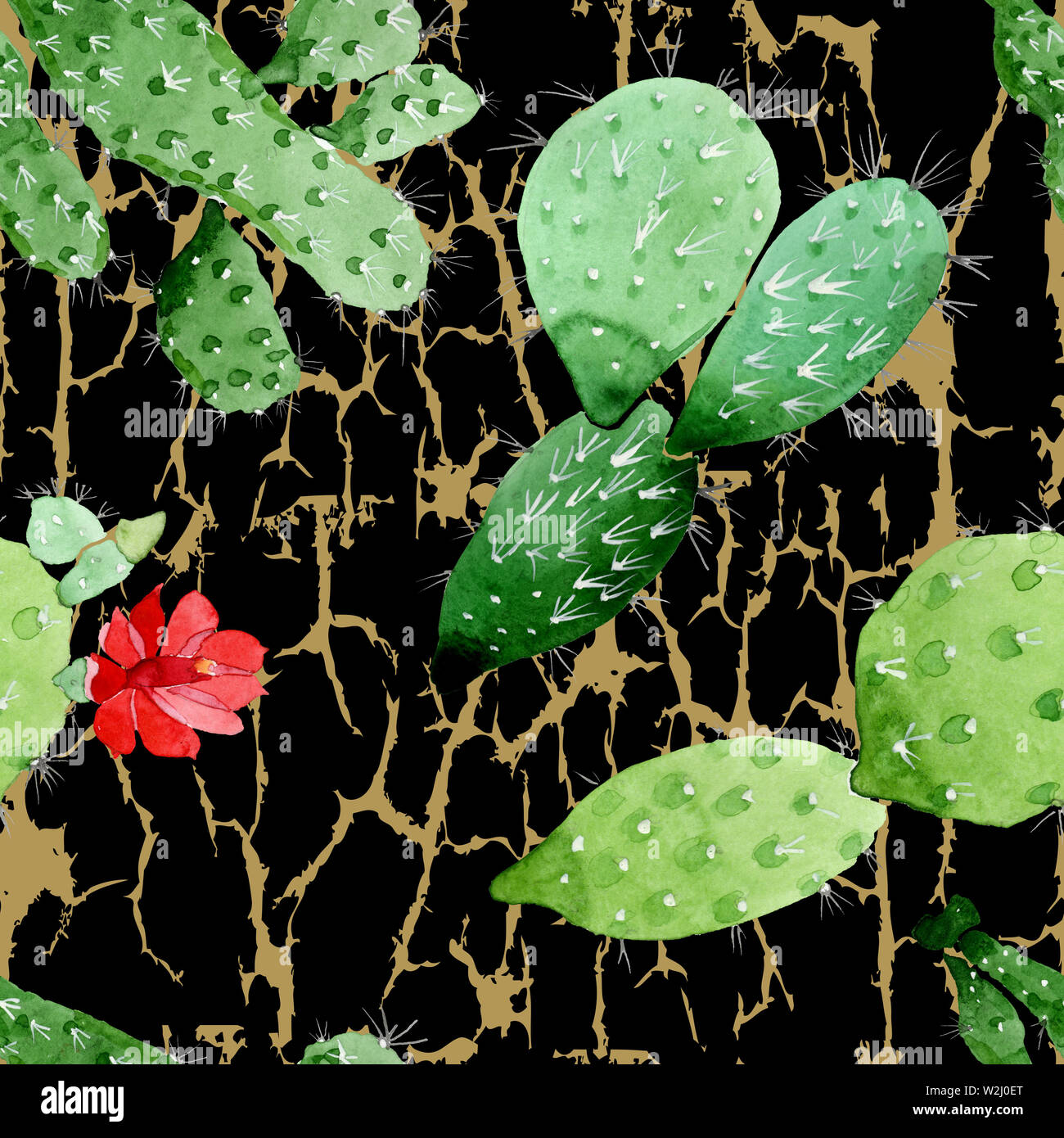 Green cactus floral botanical flowers. Wild spring leaf wildflower ...