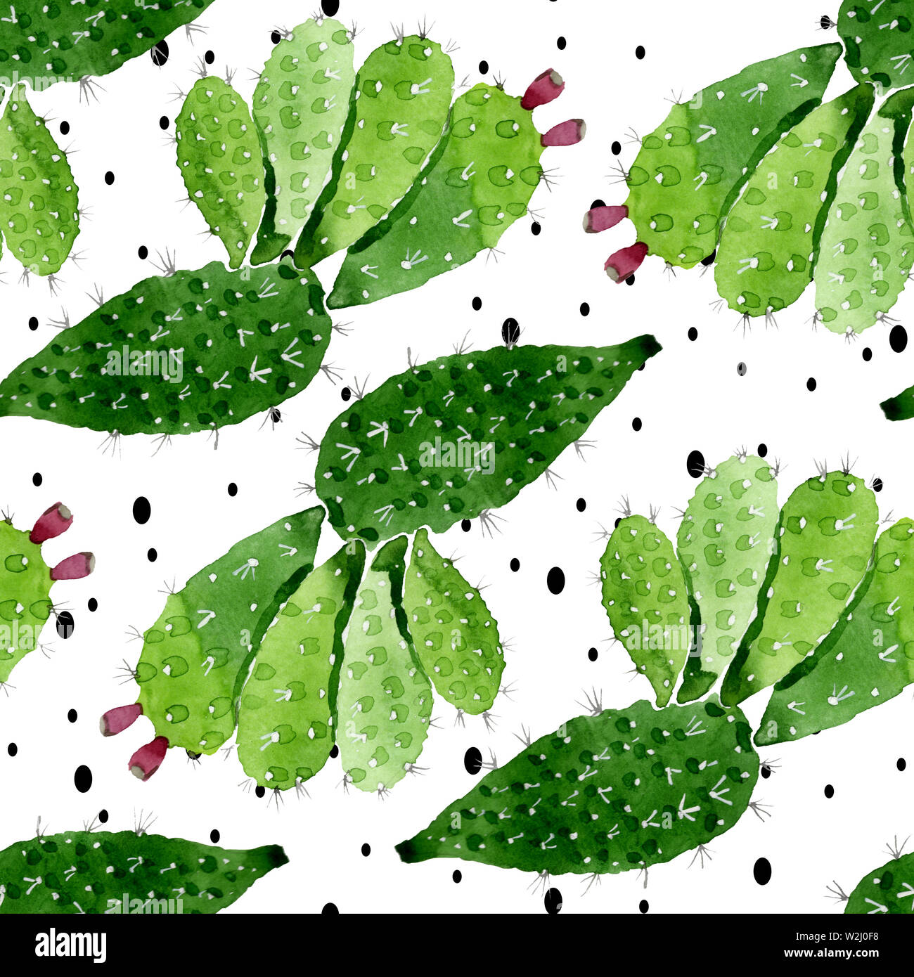 Green cactus floral botanical flowers. Wild spring leaf wildflower ...