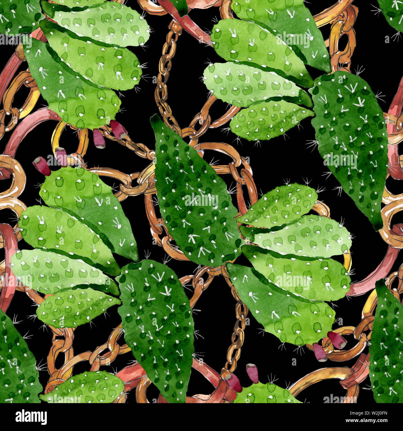 Green cactus floral botanical flowers. Wild spring leaf wildflower ...