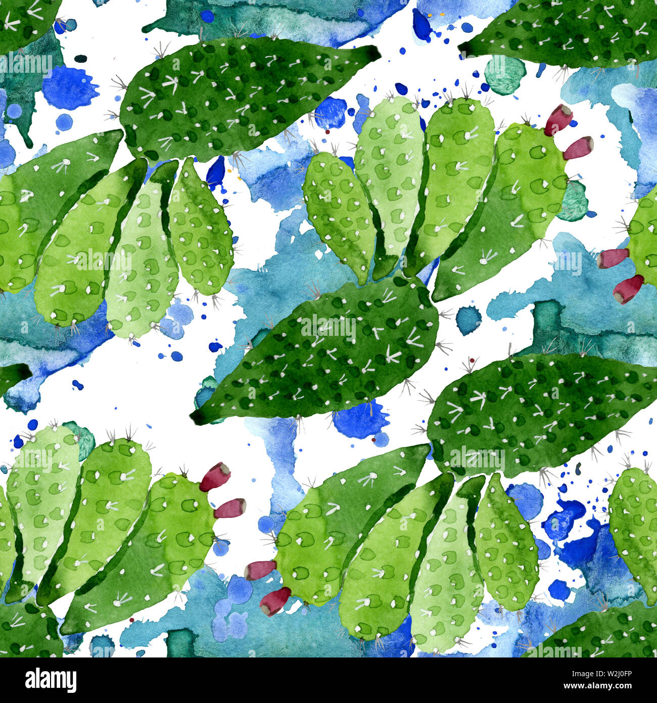 Green cactus floral botanical flowers. Wild spring leaf wildflower ...