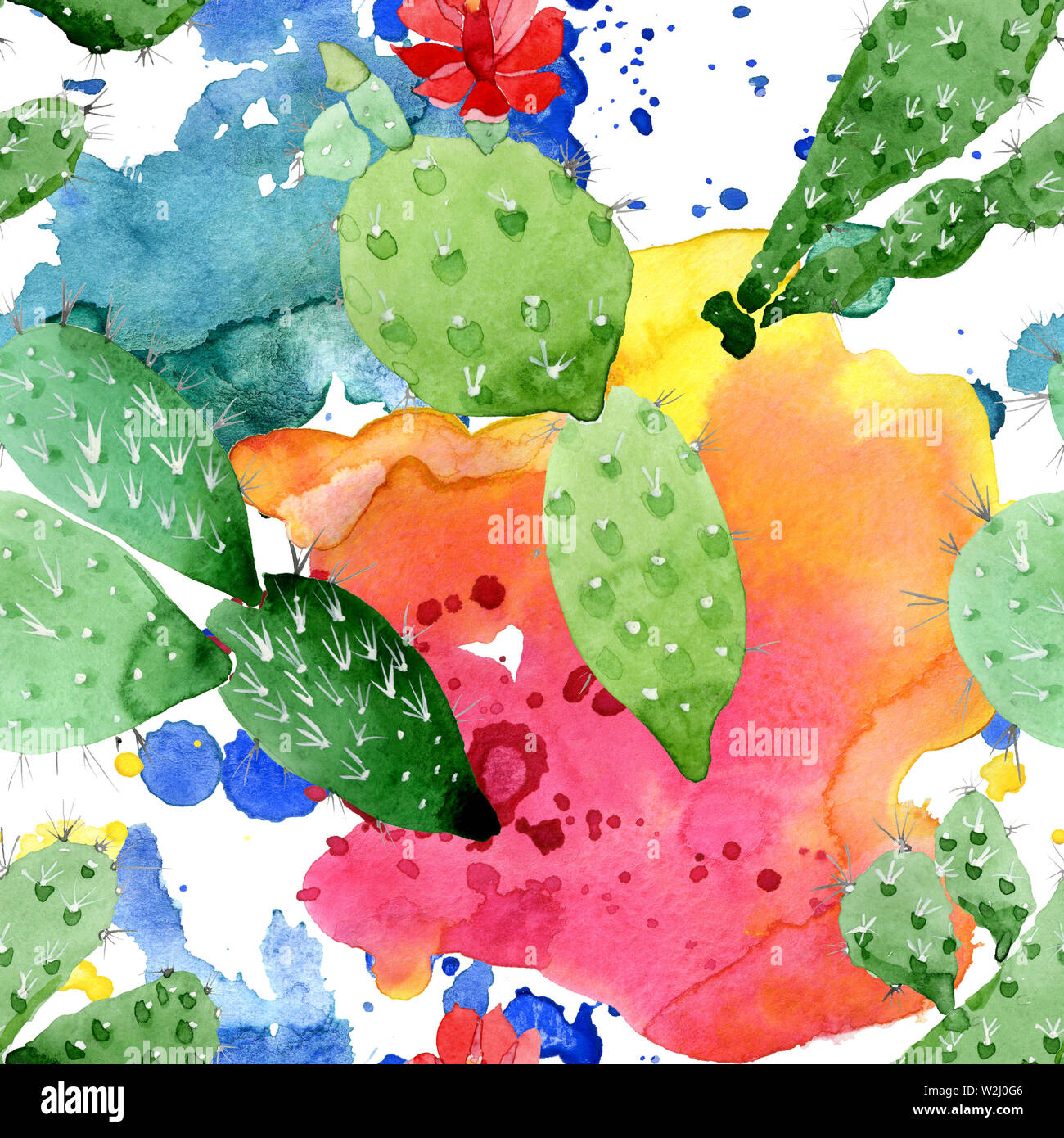 Green cactus floral botanical flowers. Wild spring leaf wildflower ...