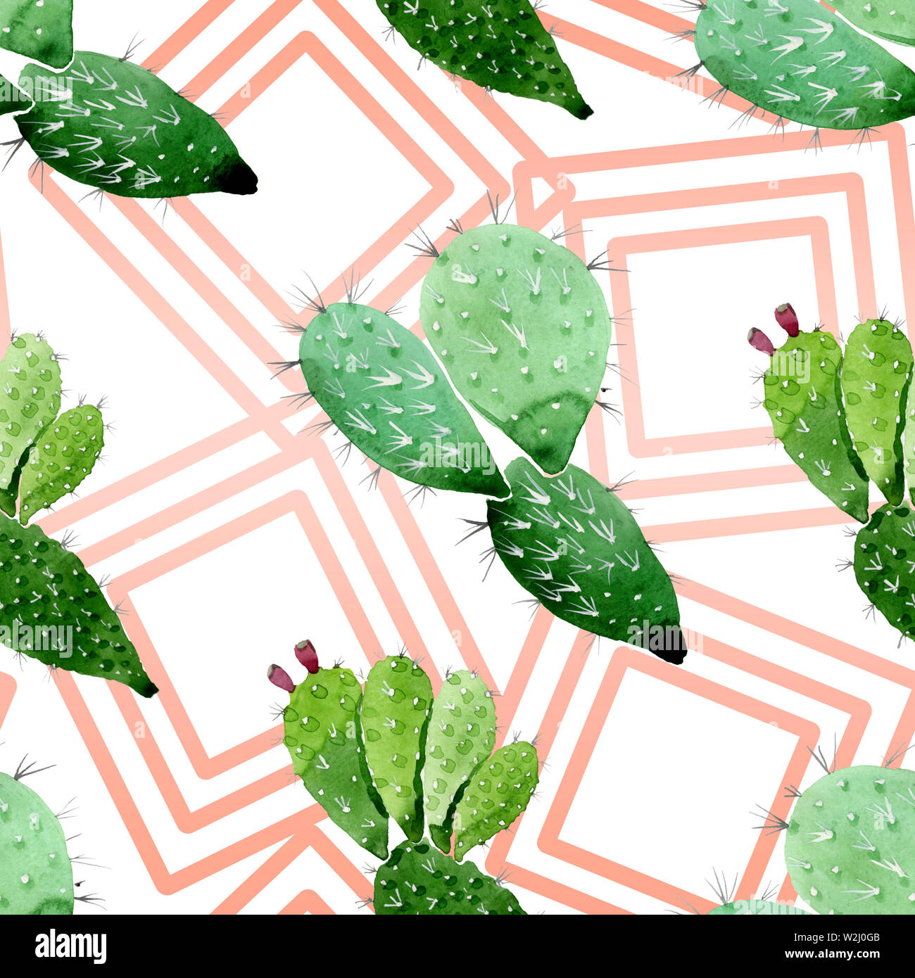 Green cactus floral botanical flowers. Wild spring leaf wildflower ...