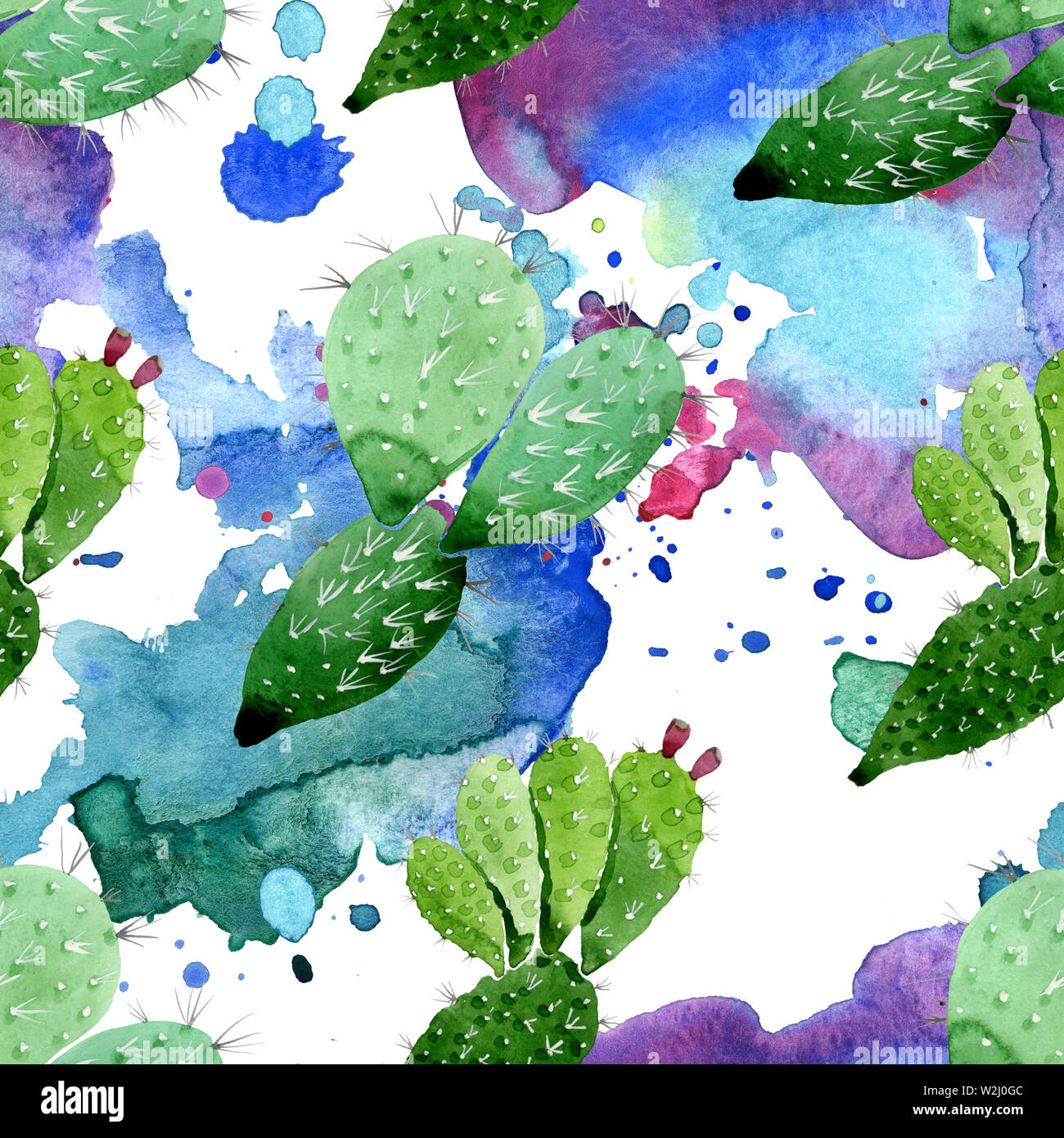 Green cactus floral botanical flowers. Wild spring leaf wildflower ...