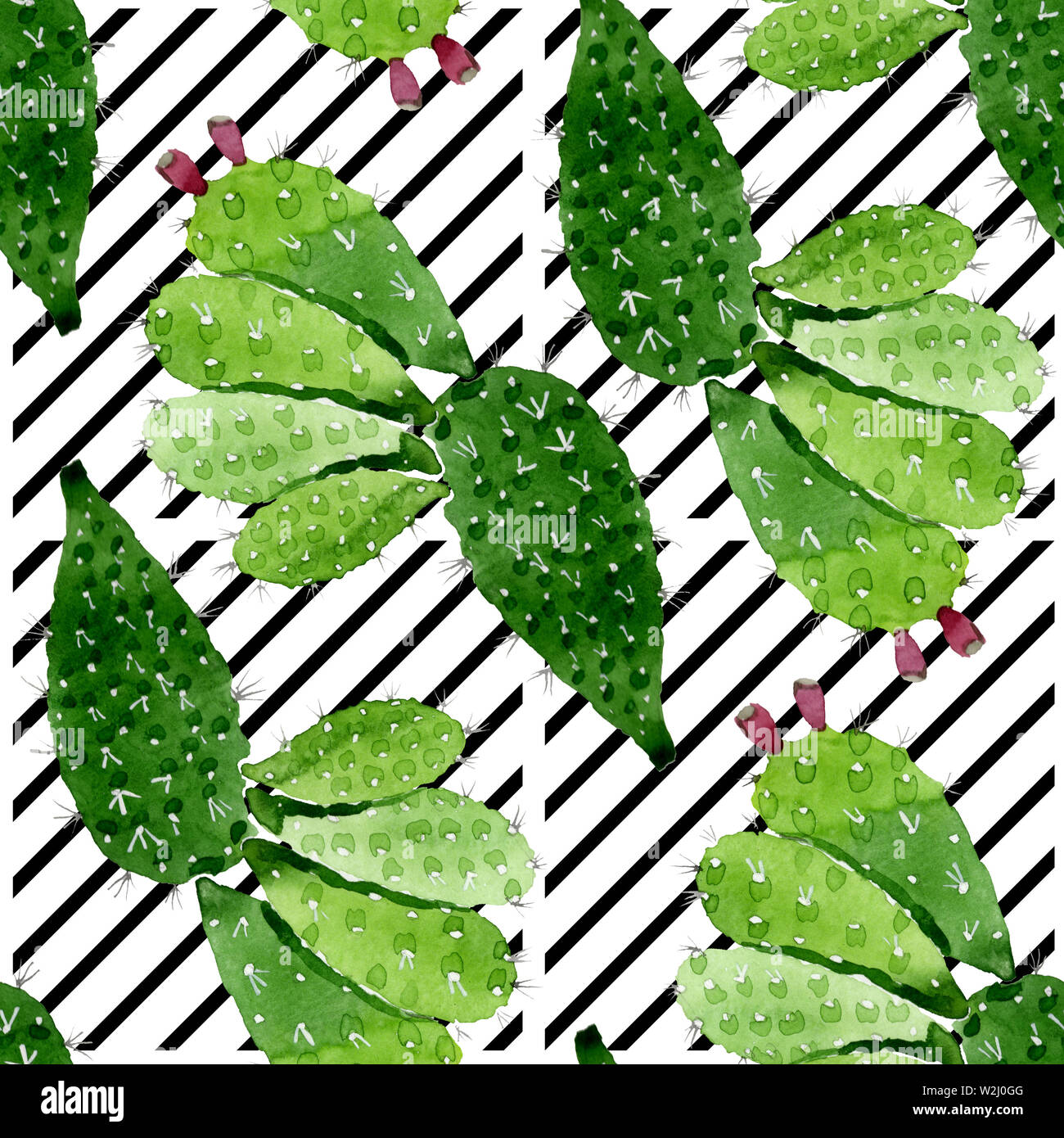 Green cactus floral botanical flowers. Wild spring leaf wildflower ...