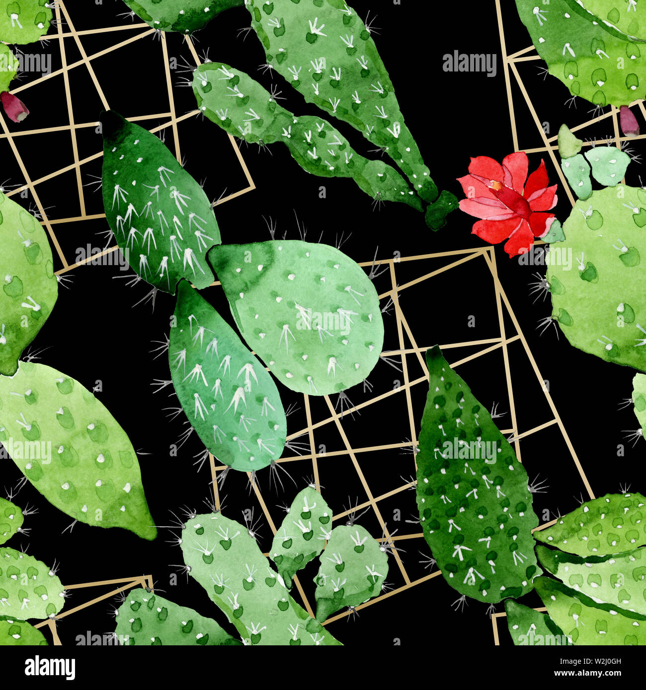 Green cactus floral botanical flowers. Wild spring leaf wildflower ...