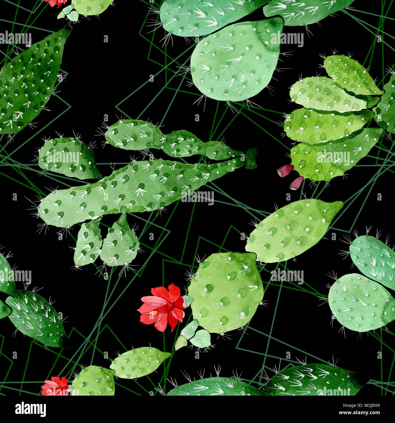 Green cactus floral botanical flowers. Wild spring leaf wildflower ...