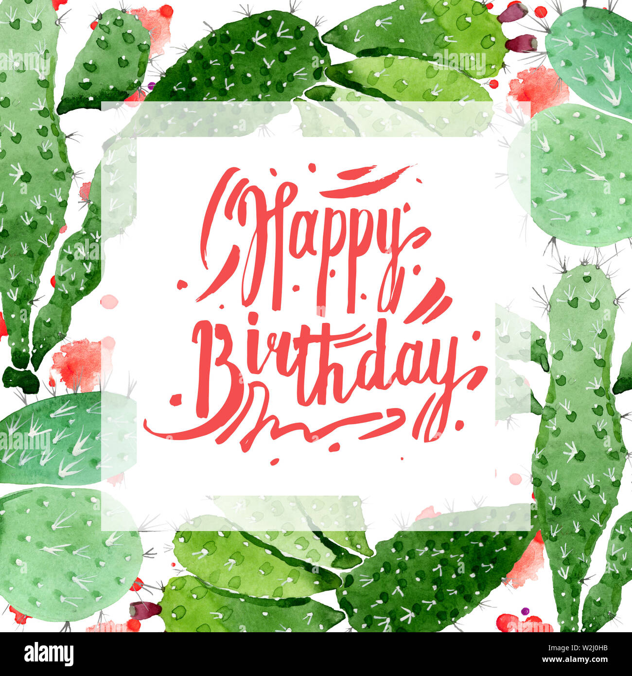 Green cactus floral botanical flowers. Wild spring leaf wildflower ...