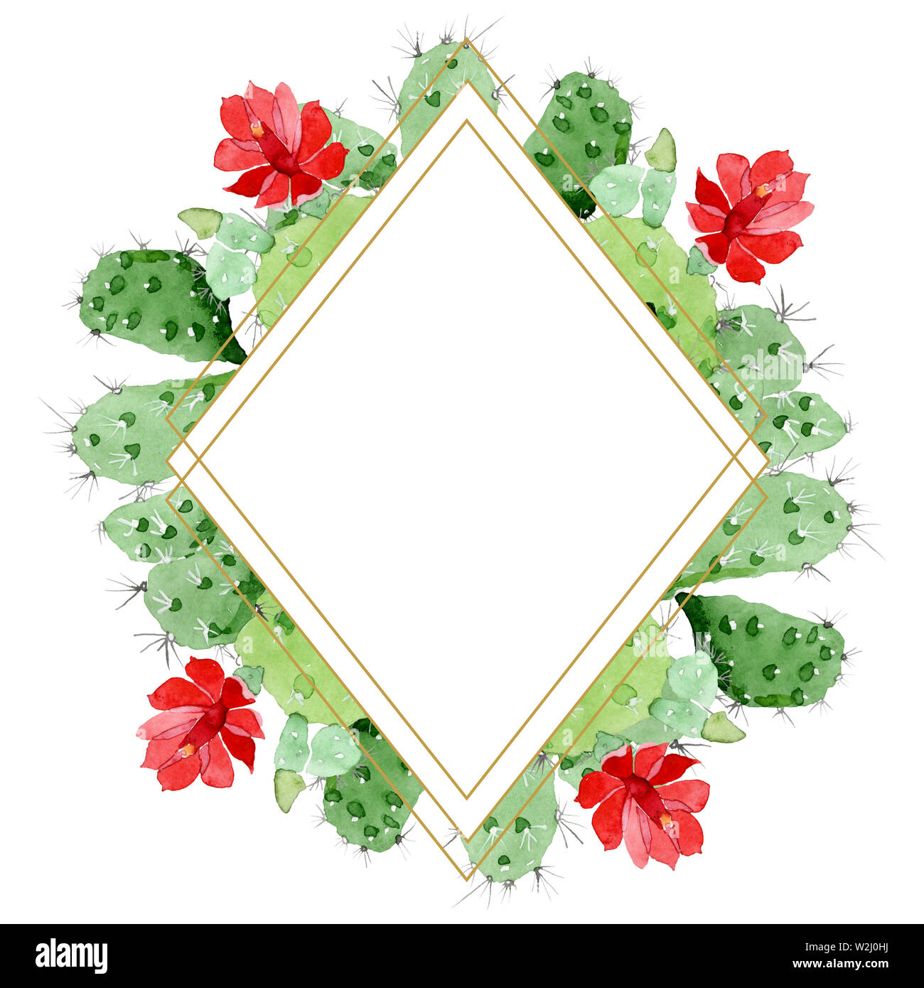 Green cactus floral botanical flowers. Wild spring leaf wildflower ...