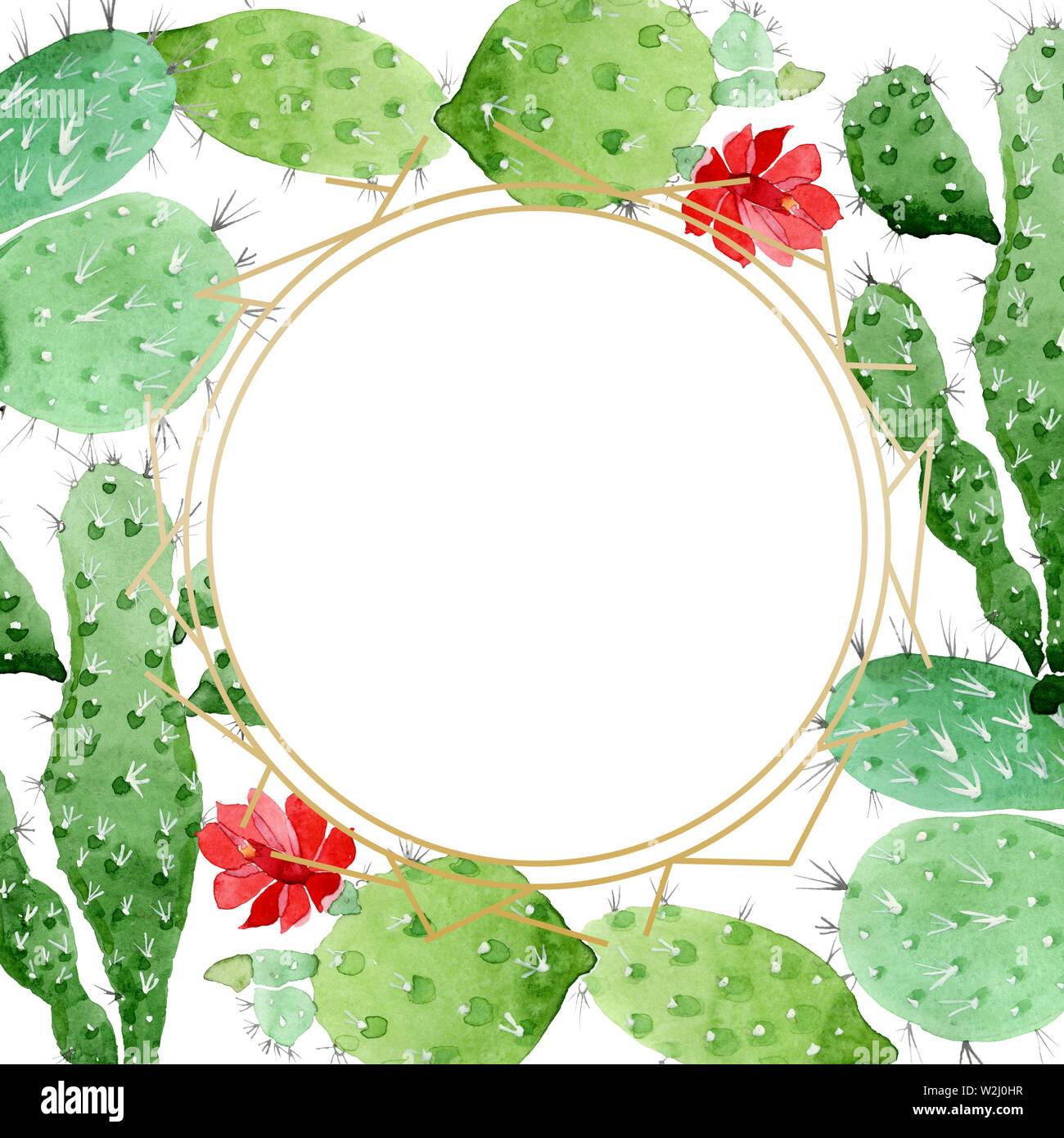 Green cactus floral botanical flowers. Wild spring leaf wildflower ...