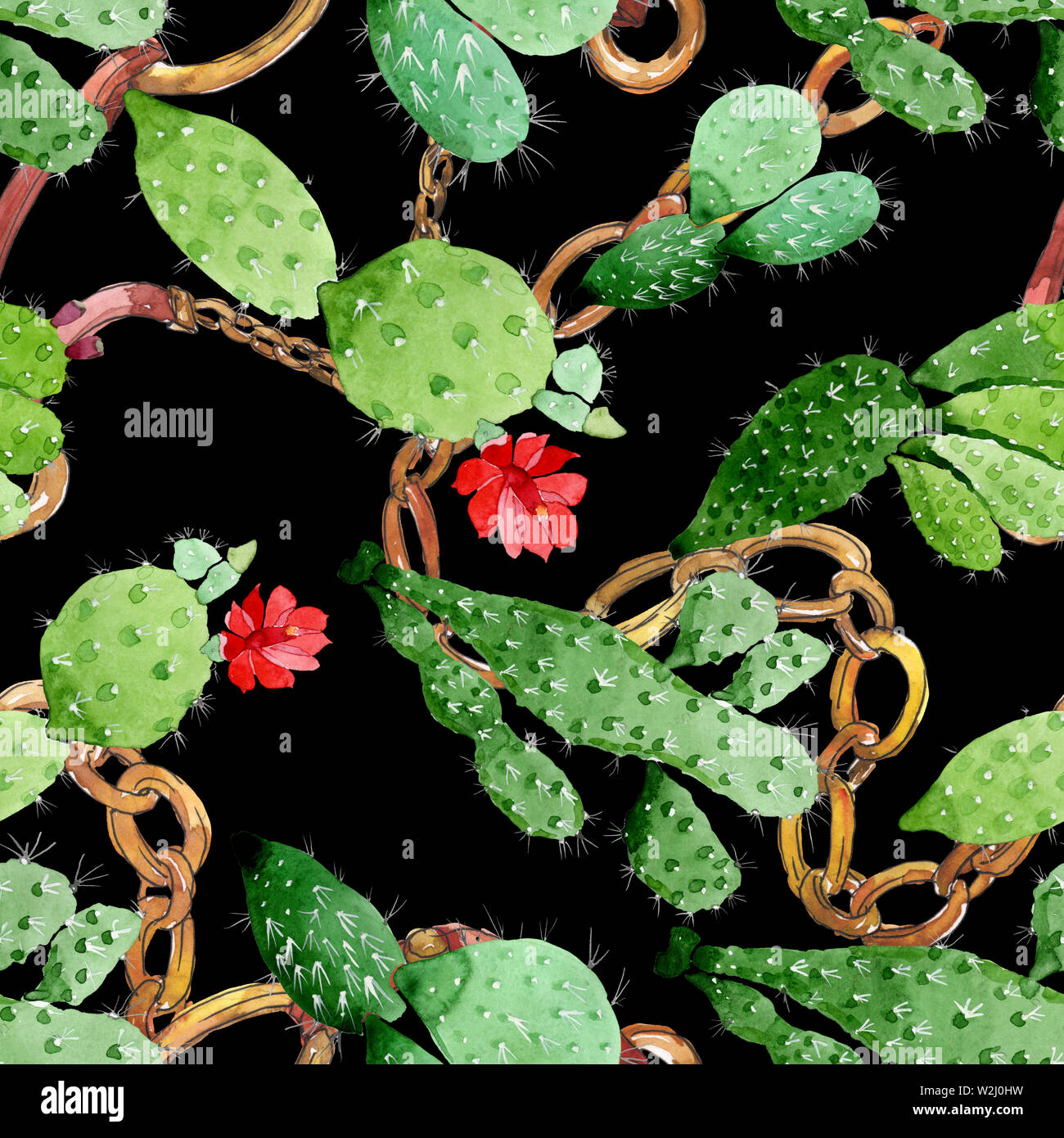 Green cactus floral botanical flowers. Wild spring leaf wildflower ...