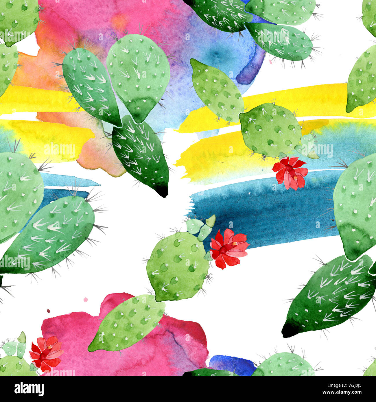 Green cactus floral botanical flowers. Wild spring leaf wildflower ...