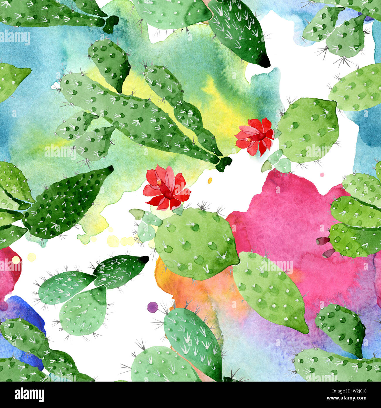 Green cactus floral botanical flowers. Wild spring leaf wildflower ...