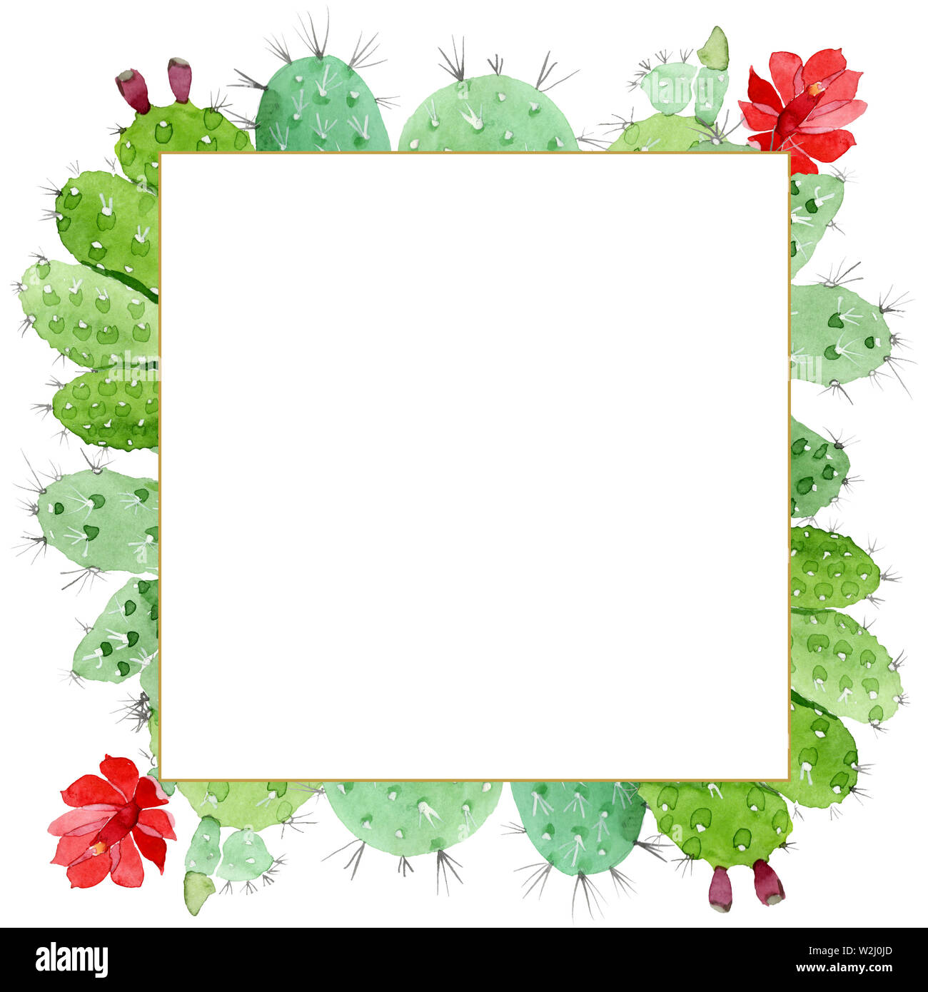 Green cactus floral botanical flowers. Wild spring leaf wildflower ...