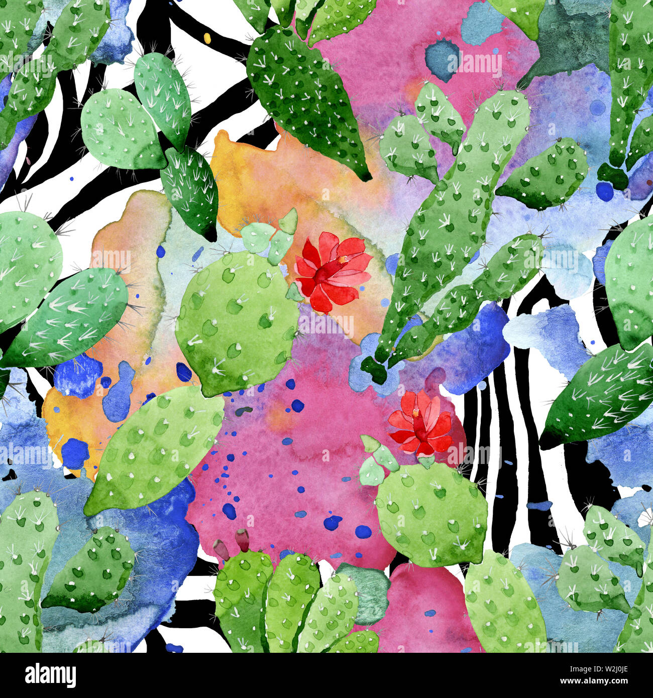 Green cactus floral botanical flowers. Wild spring leaf wildflower ...