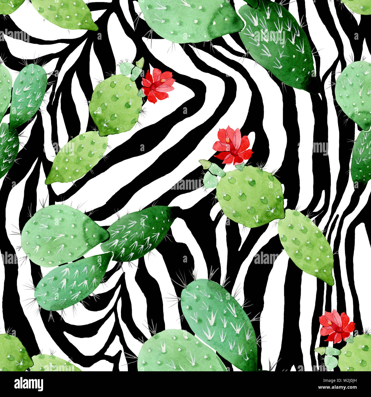 Green cactus floral botanical flowers. Wild spring leaf wildflower ...