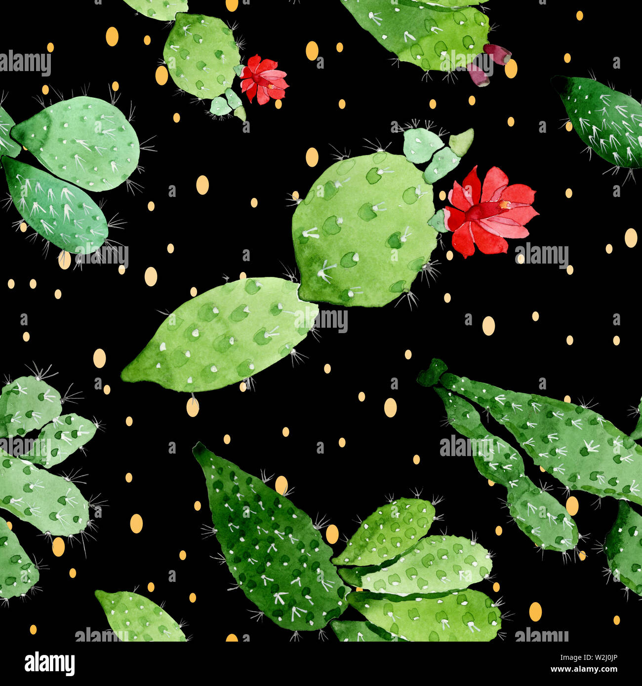 Green cactus floral botanical flowers. Wild spring leaf wildflower ...