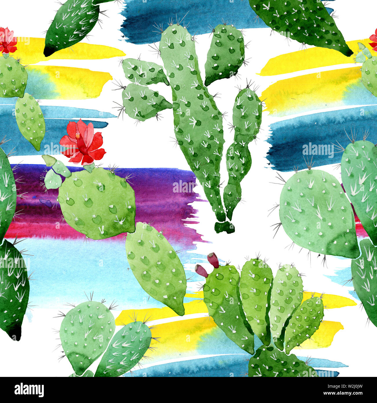 Green cactus floral botanical flowers. Wild spring leaf wildflower ...